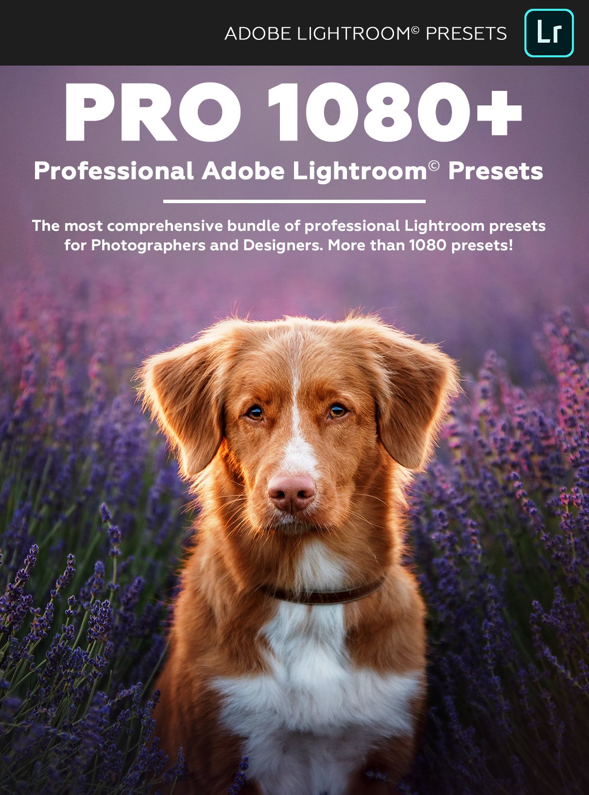 PRO 1080+ | Professional Adobe Lightroom Presets – photography-cards.com